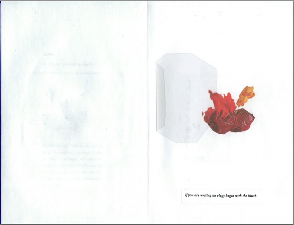 Anne Carson, Nox – Writing with Images