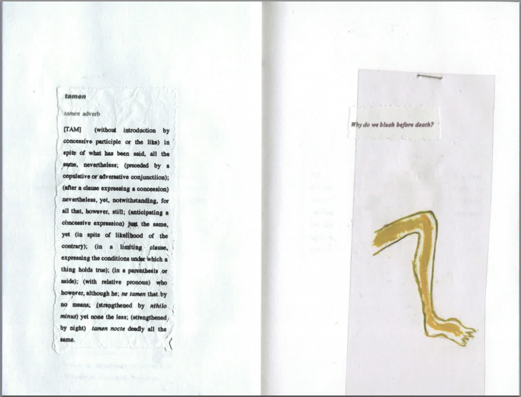 Anne Carson, Nox – Writing with Images