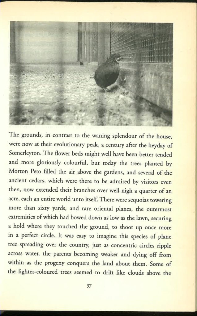 W. G. Sebald, The Rings of Saturn – Writing with Images